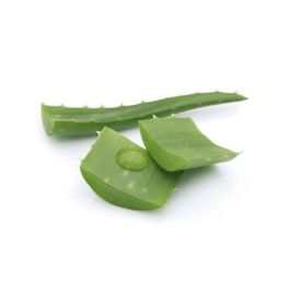 Penca Sábila 1000gr - La Vaquita