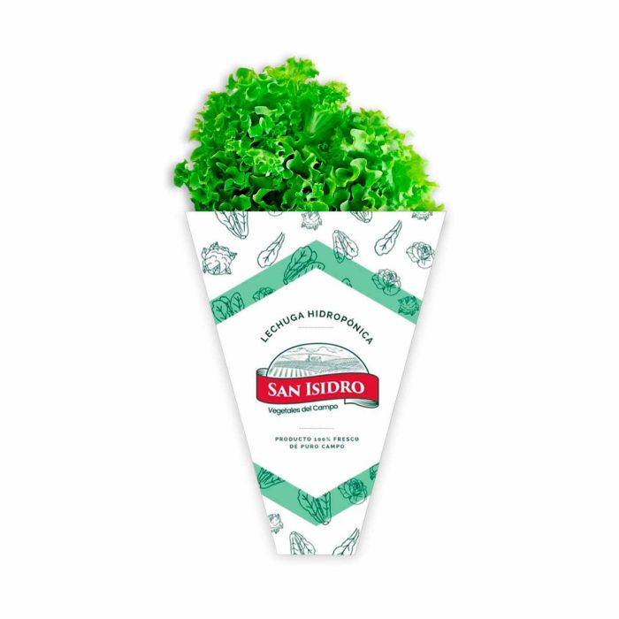 La Vaquita - Lechuga Crespa Hidroponica San Isidro Un